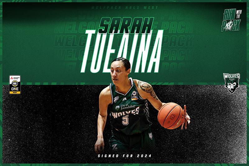 International Star Joins the Wolfpack in 2024 | Wanneroo Basketball ...